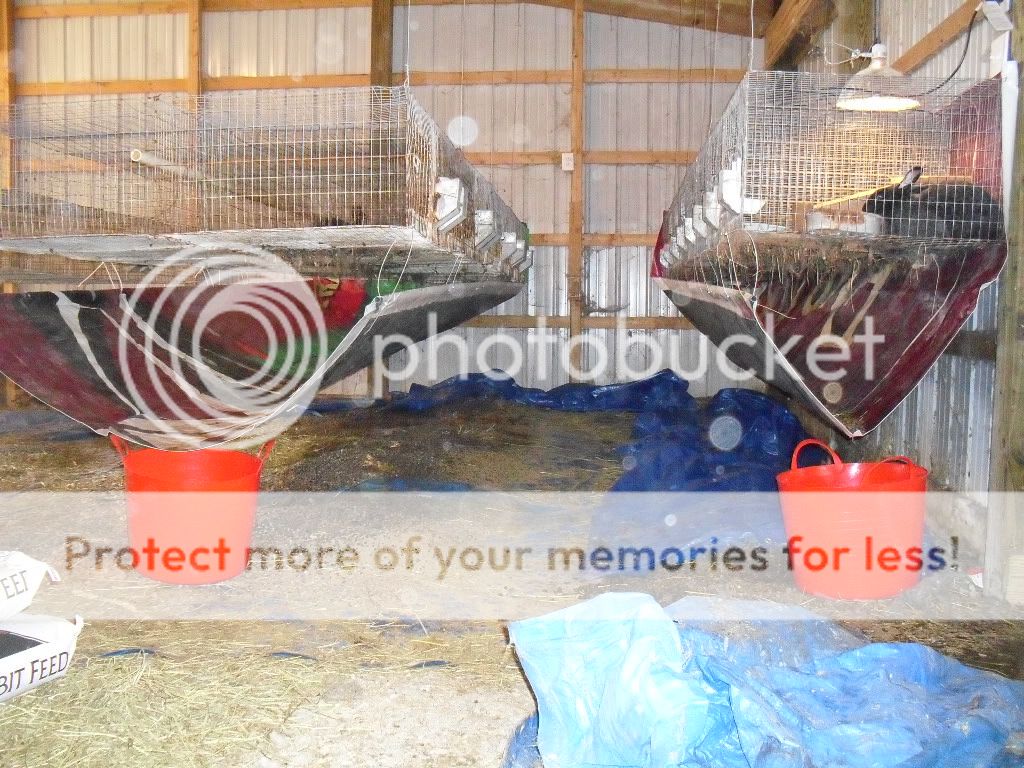 Cage Photos - Manure Collection | Homesteading Forum